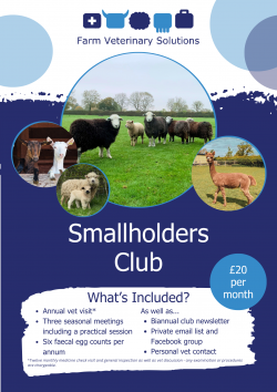 Farm Vet Solutions | Caring for the health of your business
