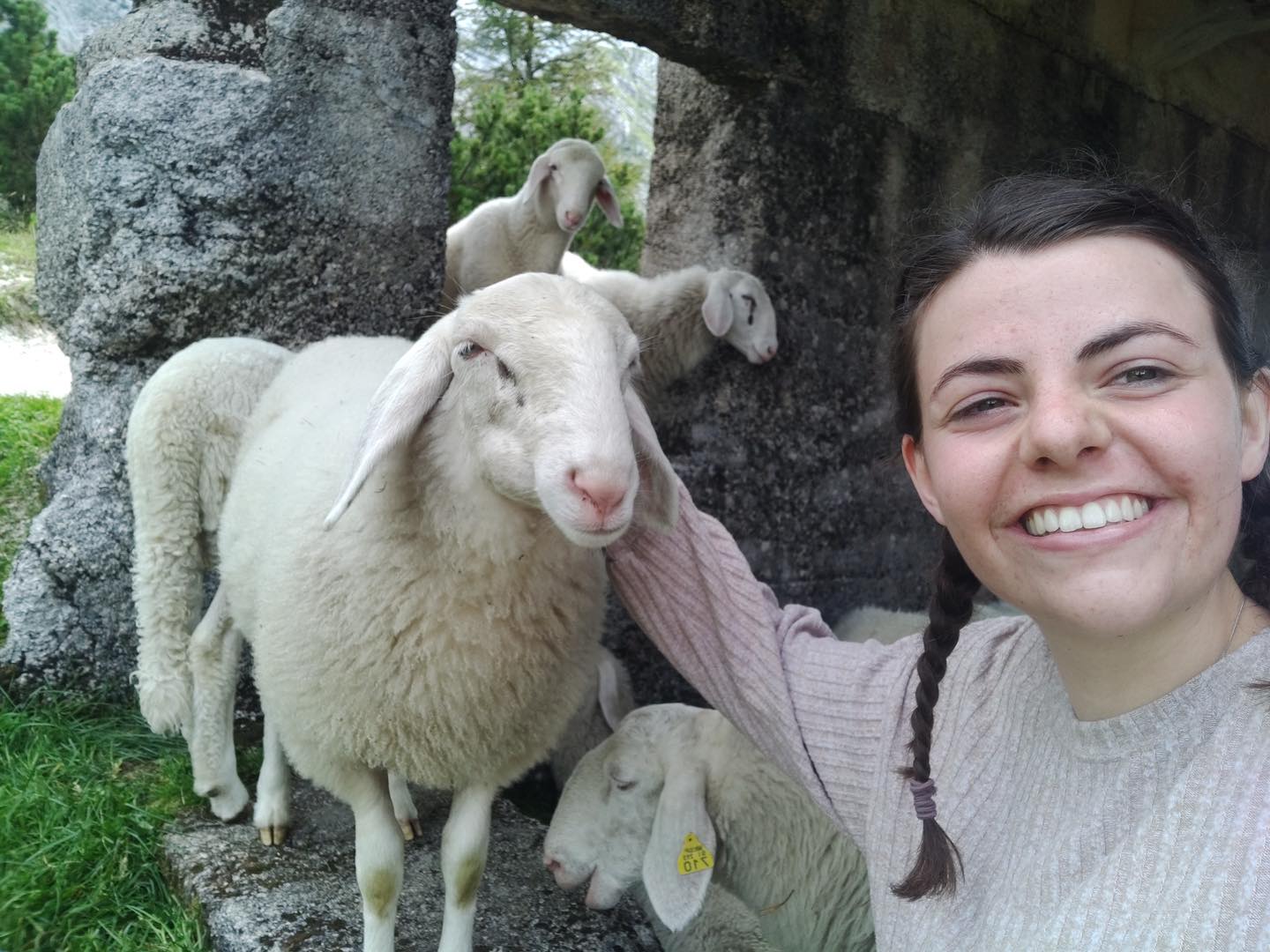 Meet the team! | Farm Vet Solutions